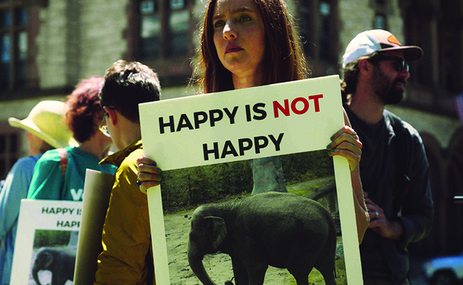 HIFF31: Compassion, Justice & Animal Rights - Hamptons International ...